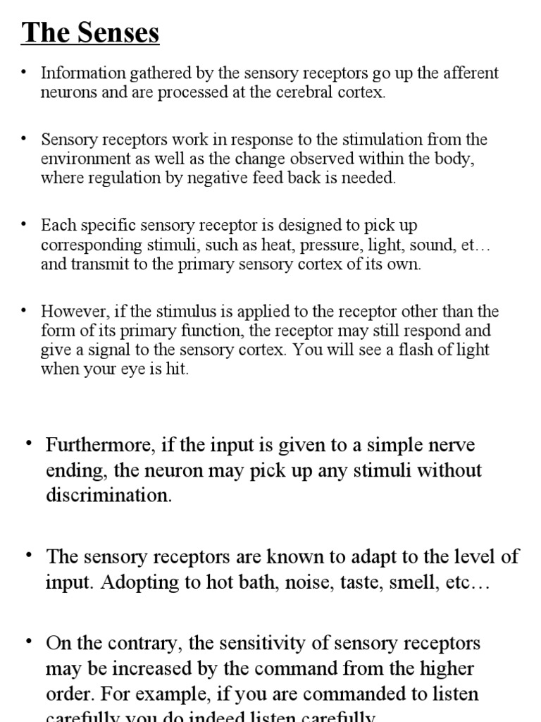 Understanding Human Senses and Receptors | PDF | Somatosensory System ...