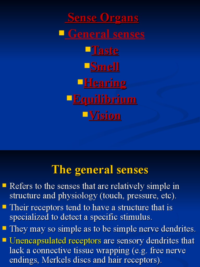 Sense Organs Overview and Functions | PDF | Ear | Taste