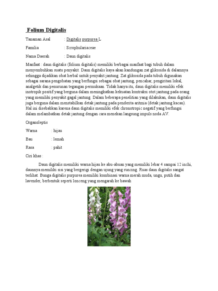 Folium Digitalis | PDF