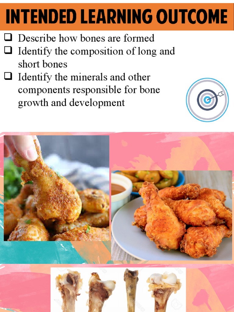 Bone Composition and Structure | PDF