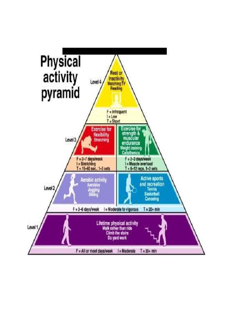 Notes - The Physical Activity Pyramid | PDF | Physical Fitness ...