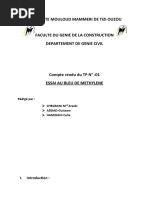 Essai Au Bleu de Méthylène (NF EN 933-9) | PDF | Adsorption | Masse
