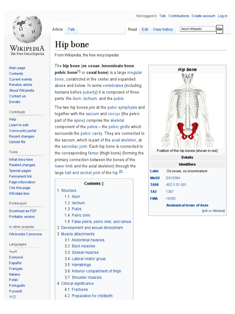 Hip Bone: Hip Bone (Os Coxae, Innominate Bone, Pelvic Bone Coxal Bone ...