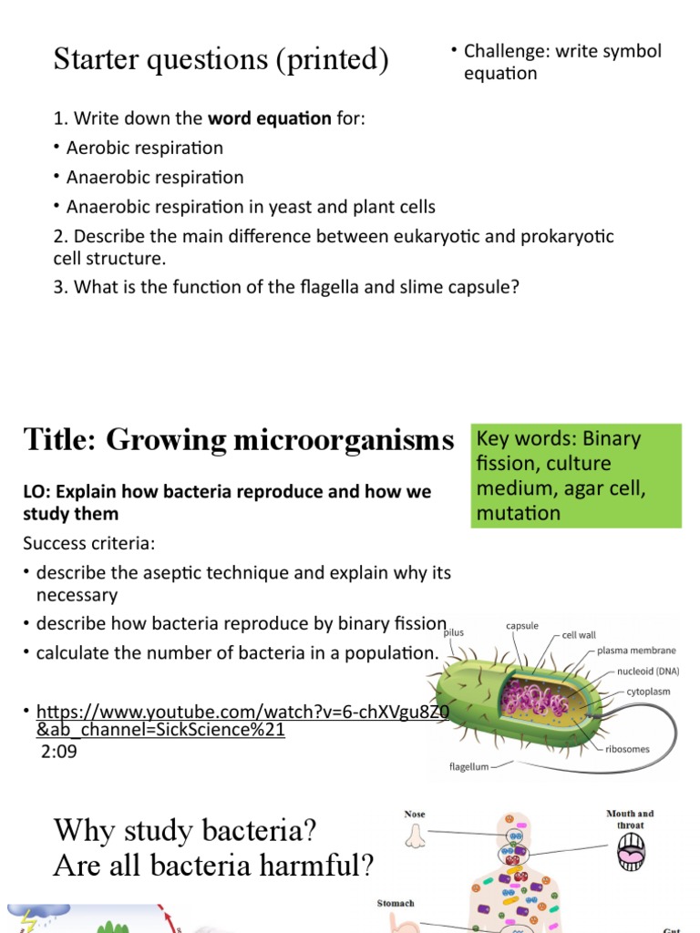 Culturing Microorganisms Triple | PDF | Growth Medium | Bacteria