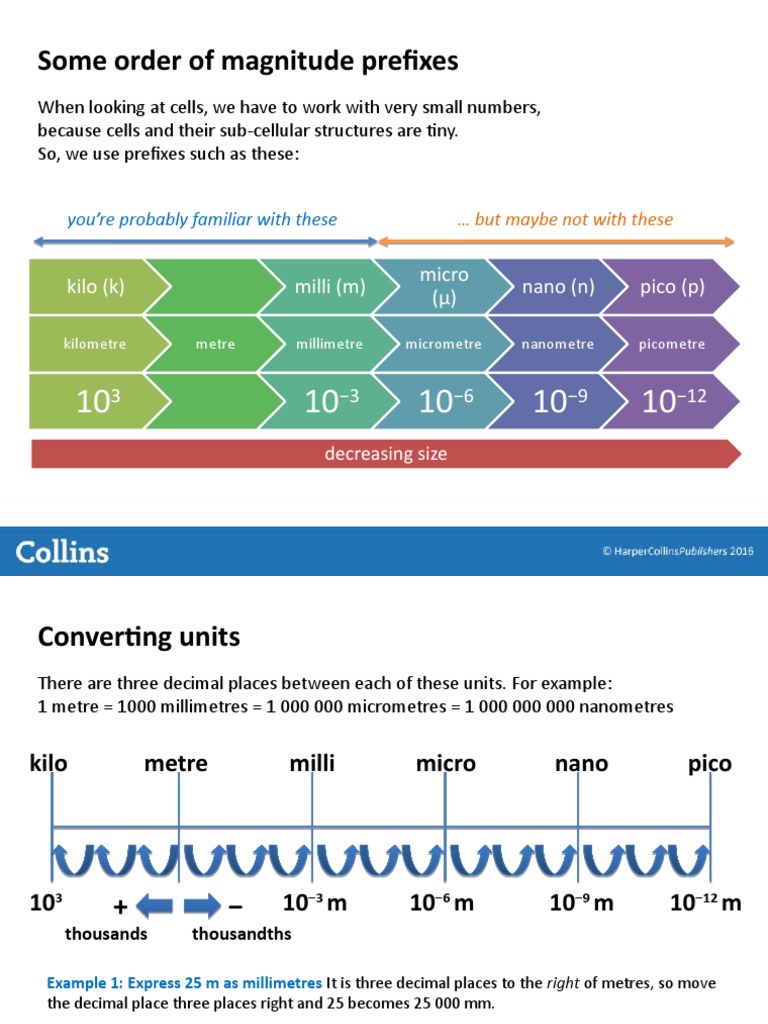 AQA Bio Order of Magnitude Powerpoint | PDF