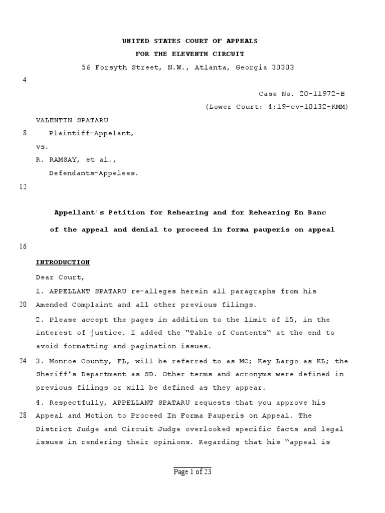 Petition For Rehearing en Banc | Download Free PDF | Racketeer Influenced And Corrupt ...