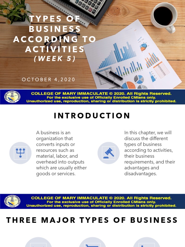 Types of Business According To Activities: (WEEK 5) | PDF ...