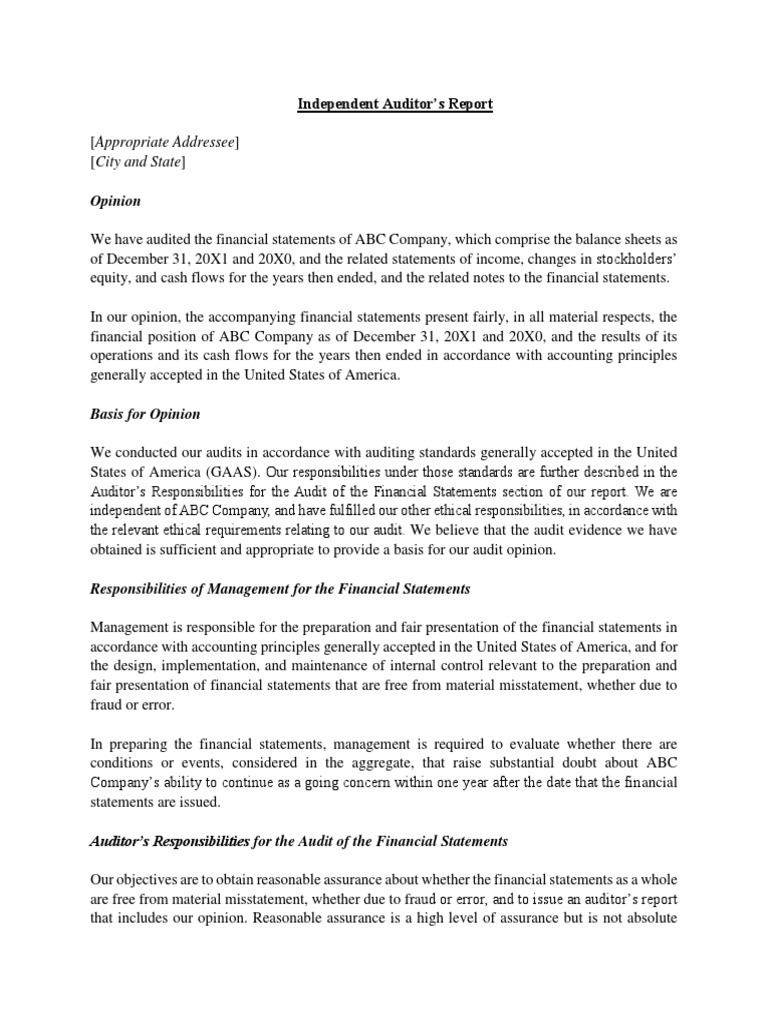 Independent Auditor's Report | PDF | Internal Control | Audit