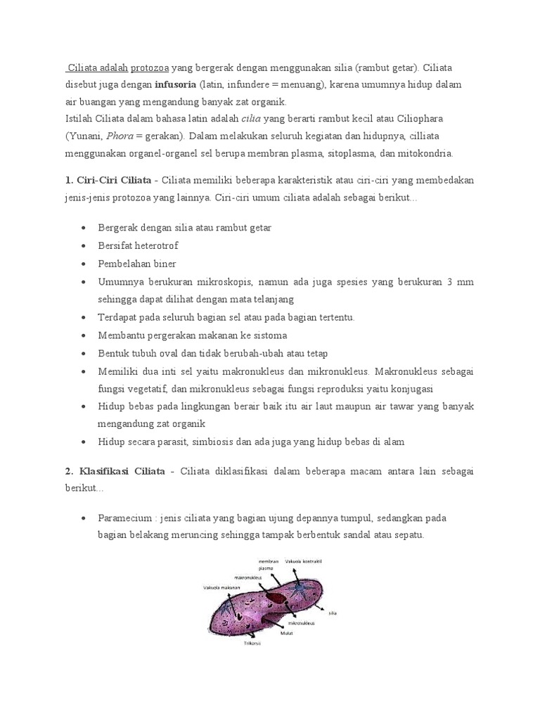 Ciri dan Contoh Ciliata Terompet | PDF