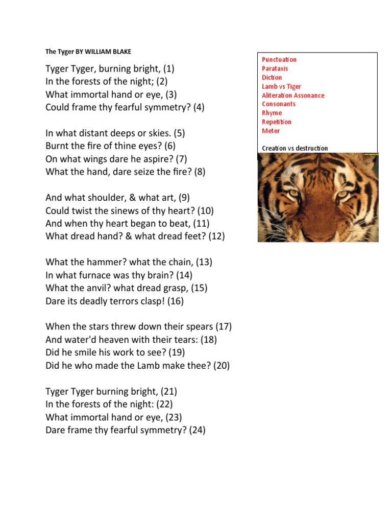 The Tyger by William Blake | PDF