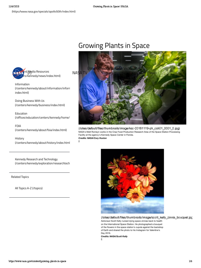 Growing Plants in Space Nasa | PDF | Vegetables | Plants