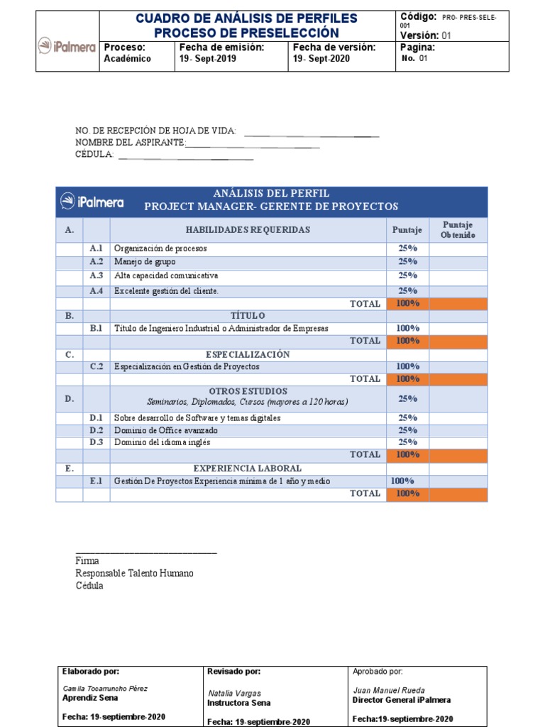 Cuadro de Análisis de Perfiles | PDF | Business | Informática