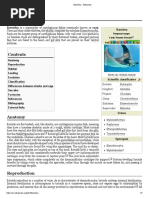 Overview of Batomorphi Classification | PDF | Vertebrates | Elasmobranchii