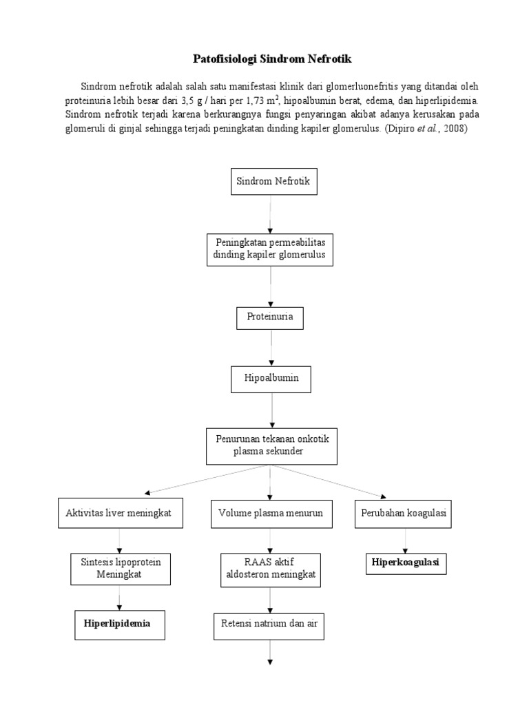 Patofisiologi Sindrom Nefrotik | PDF