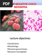 Gram Negative Cocci Flow Chart | PDF | Gram Negative Bacteria | Prokaryote