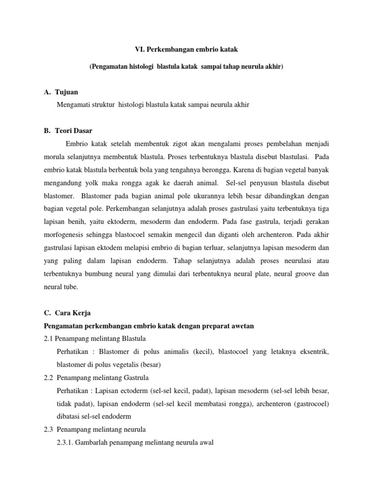 Perkembangan Embrio Katak: Blastula ke Neurula | PDF