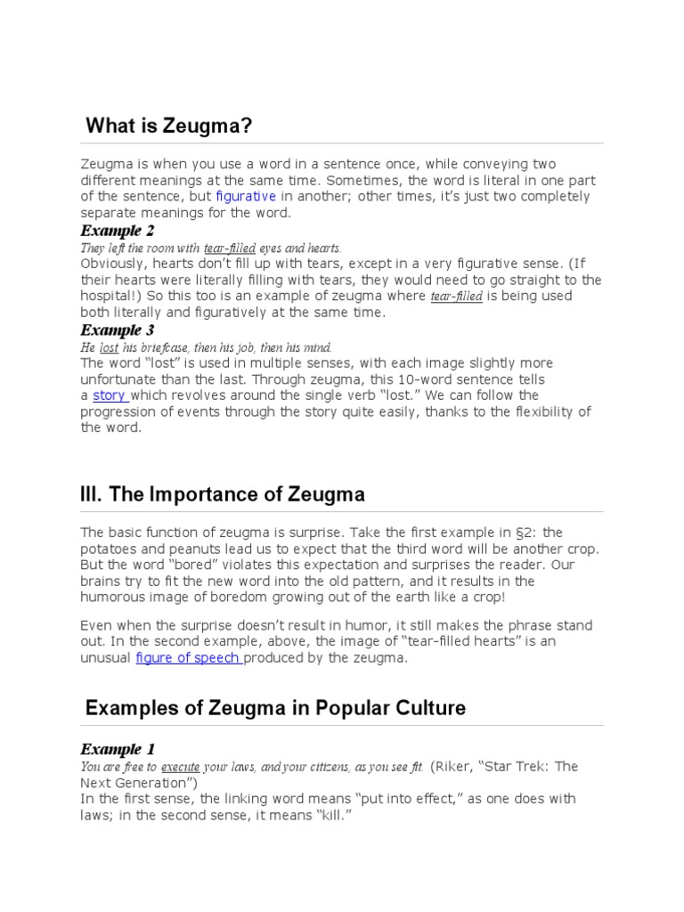 What Is Zeugma | PDF