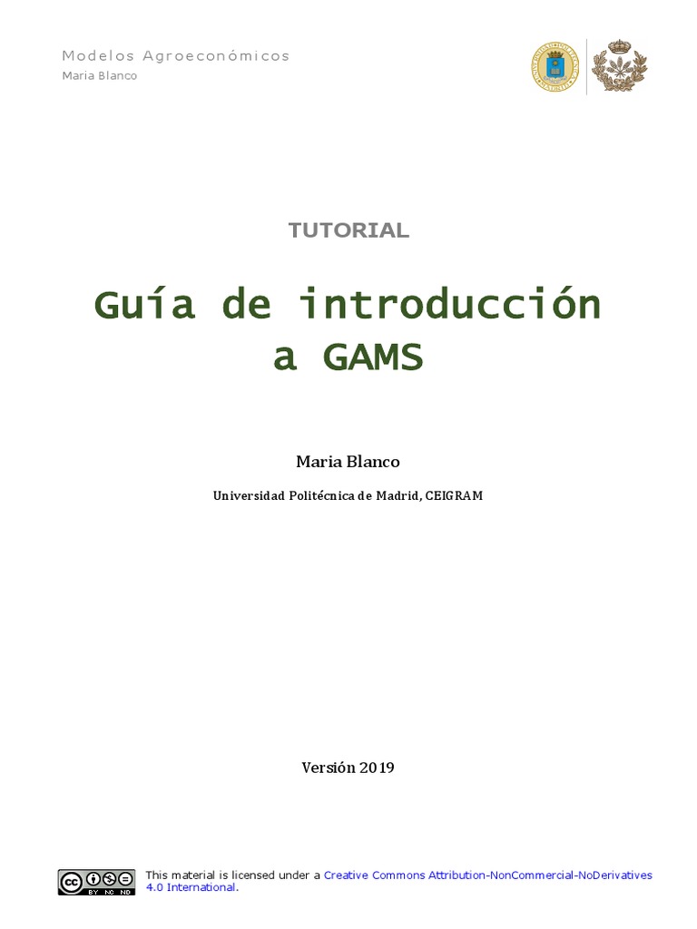 Guía de Introducción a GAMS | PDF | Lenguaje de programación ...