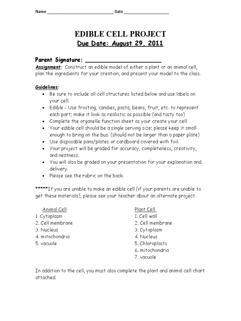 Durham-Moore Edible Cell Project and Rubric | PDF | Cytoplasm | Cell ...