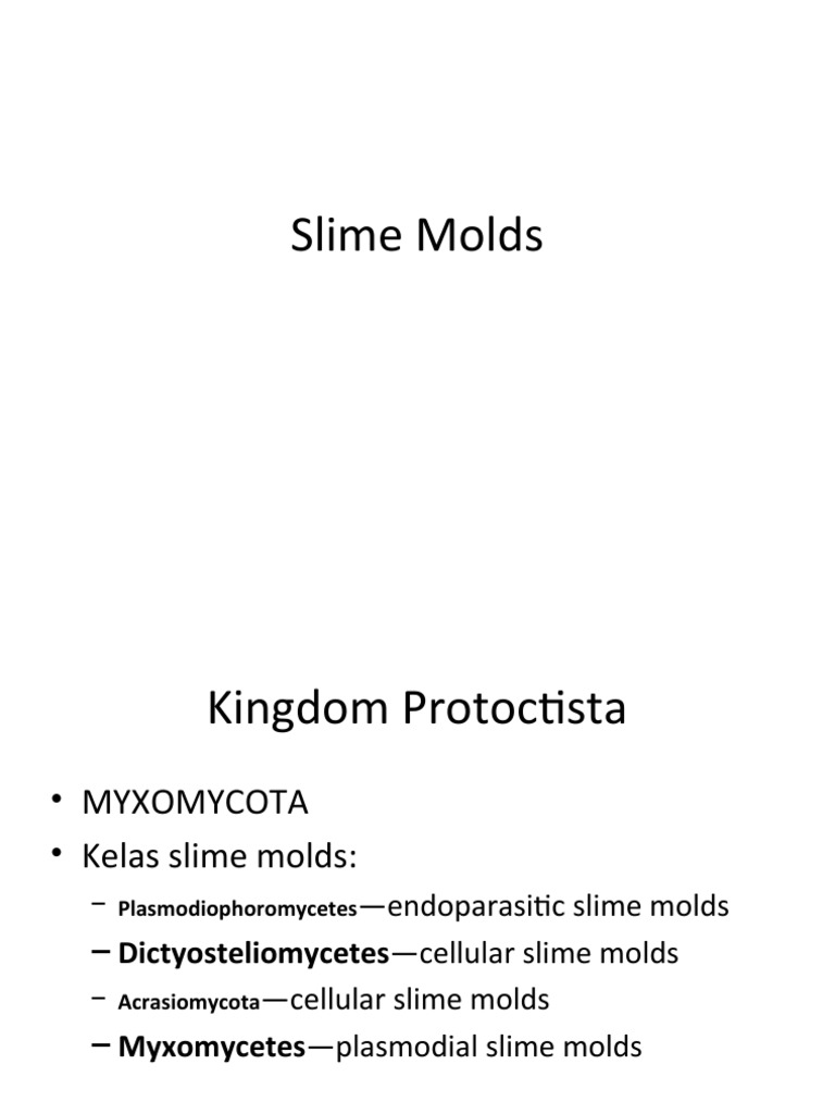 MYXOMYCOTA Slime Molds | PDF | Biology | Organisms