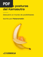 Kamasutra Libro Ilustrado | PDF | Estudios de idiomas extranjeros