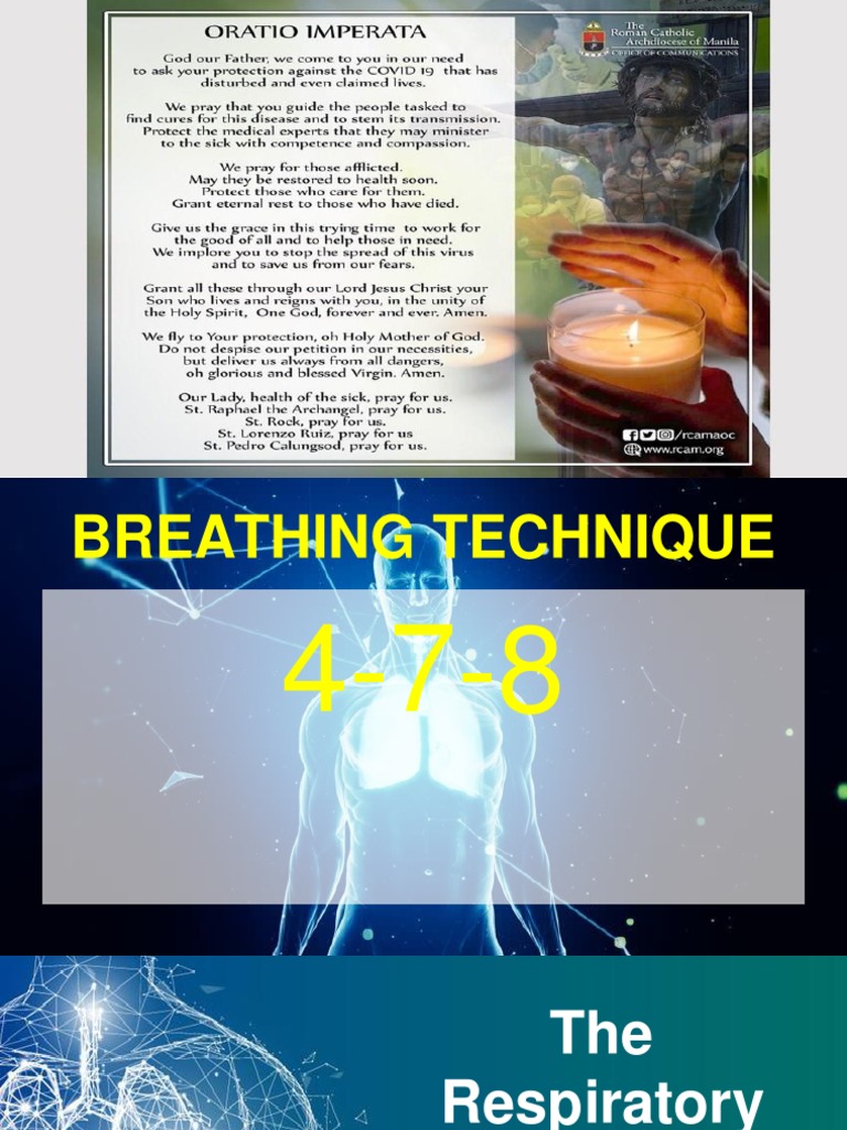 The Respiratory System PDF | Download Free PDF | Respiratory Tract ...