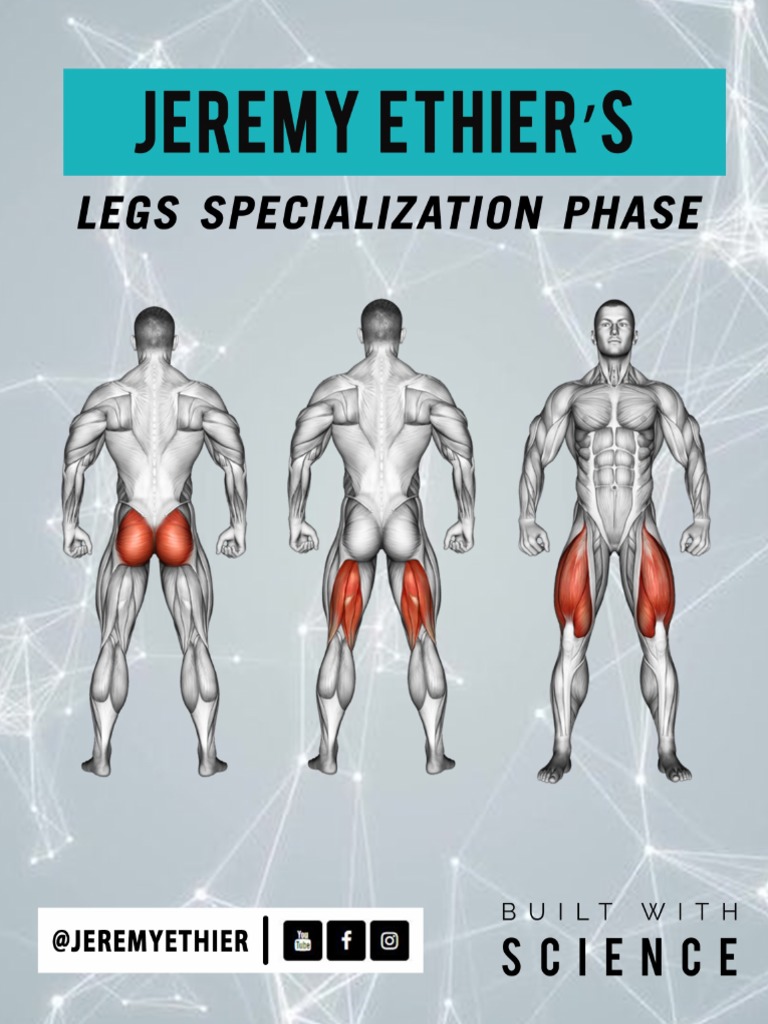 Intermediate Build - Legs | PDF | Anatomical Terms Of Motion | Foot