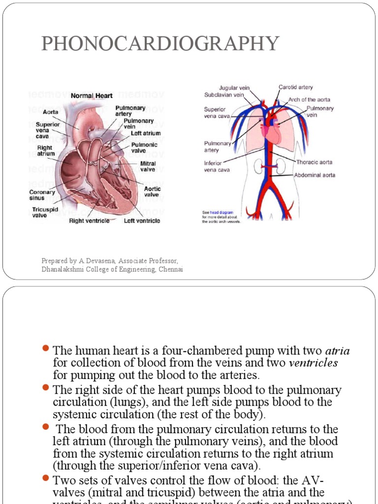 Phonocardiography: Prepared by A.Devasena, Associate Professor ...