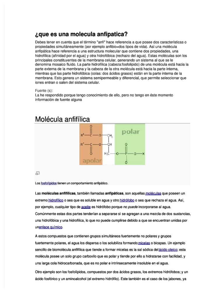 Moléculas Anfipáticas: Definición y Ejemplos | PDF | Sustancias ...