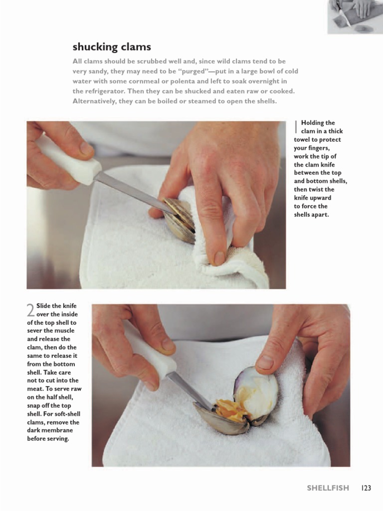 Shucking Clams | PDF