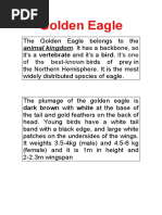 Overview of Eagle Taxonomy and Species | PDF