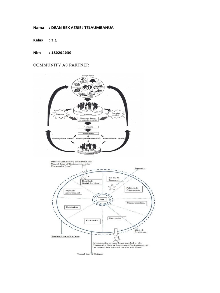 (DEAN 3.1) Model Pengkajian Community As Partner | PDF