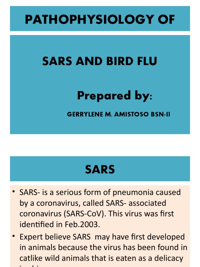 Pathophysiology Of: Sars and Bird Flu Prepared by | PDF | Influenza ...