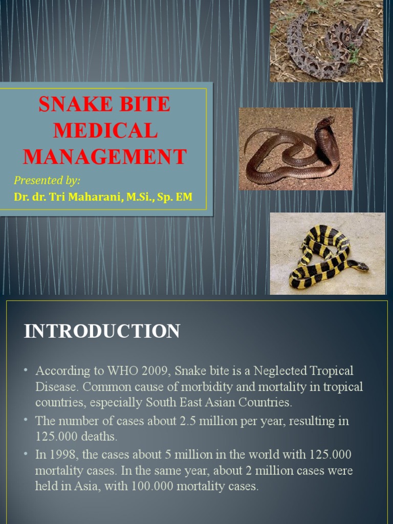 SNAKE BITE MEDICAL MANAGEMENT Crebon | PDF | Coagulation | Medical ...