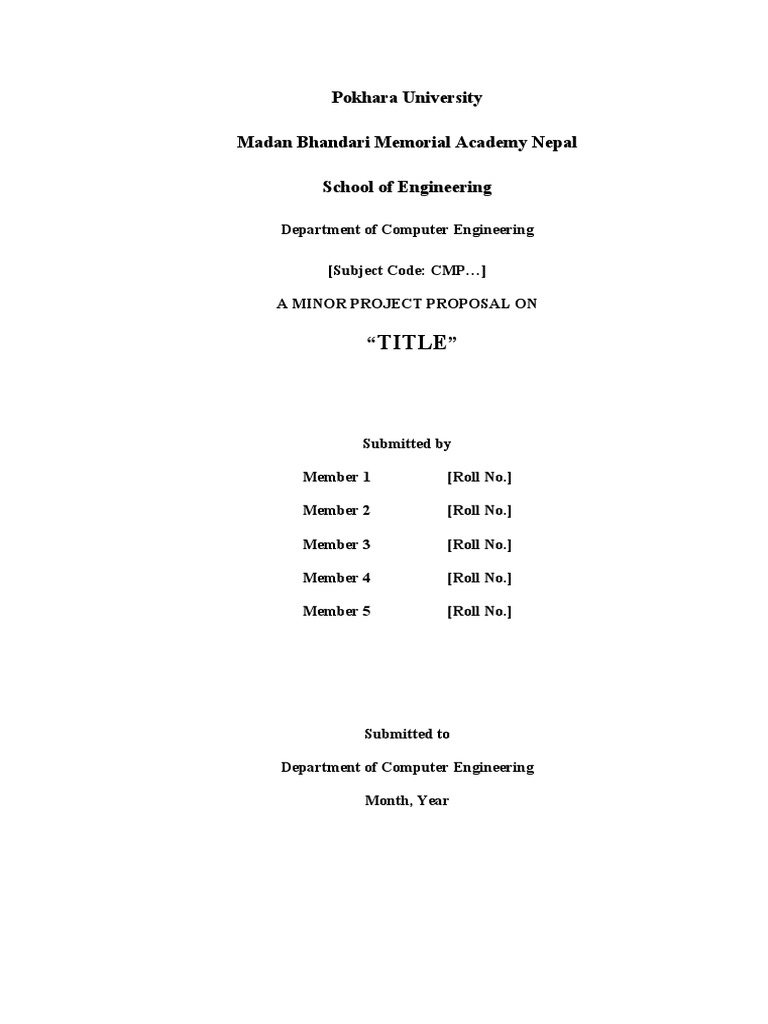 Minor Project Proposal Guidelines | PDF | Business