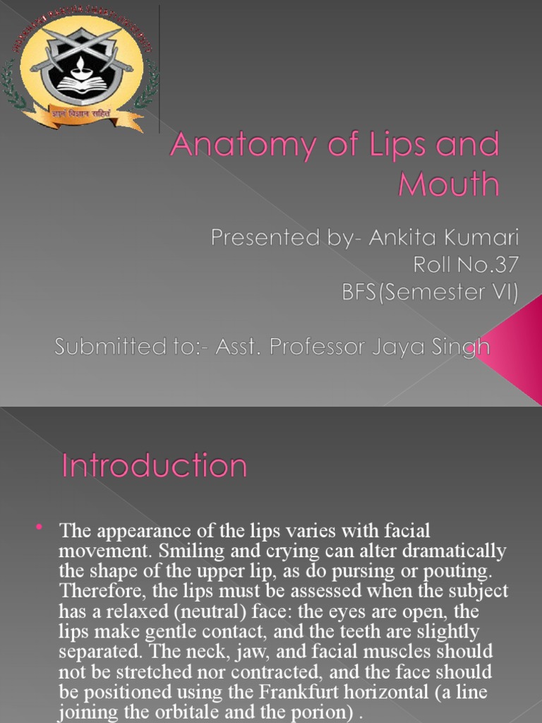Anatomy of the Lips and Mouth | PDF | Lip | Human Anatomy