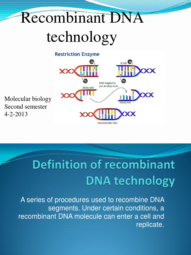 Dna Recombinant Technology Biotechnology | PDF | Restriction Enzyme ...