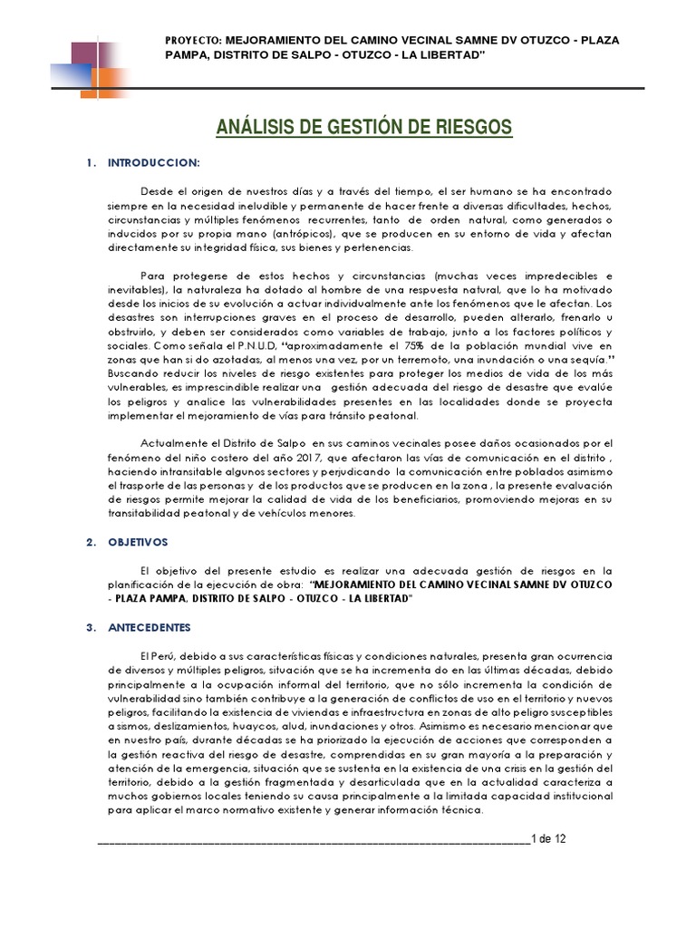 Informe de Gestion de Riesgos | PDF | Vulnerabilidad | Riesgo