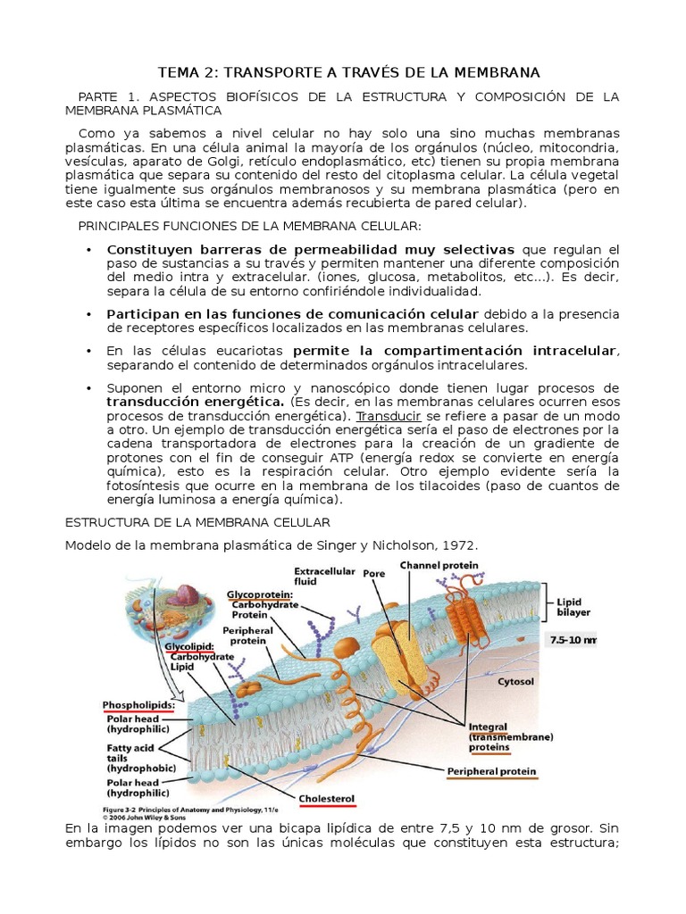T2 (Parte 1) - ASPECTOS BIOFÍSICOS DE LA MEMBRANA | PDF | Membrana ...