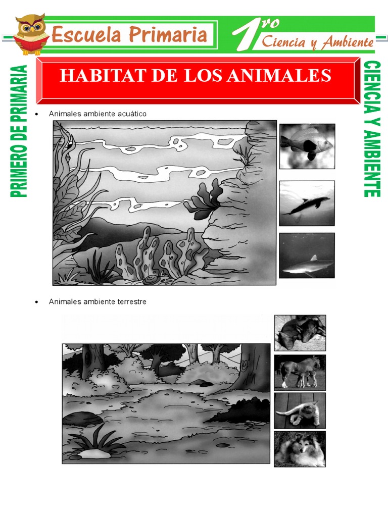 Habitad de Los Animales para Primero de Primaria | PDF | Organismos ...