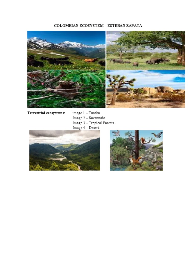 Colombian Ecosystems Overview | PDF | Science & Mathematics