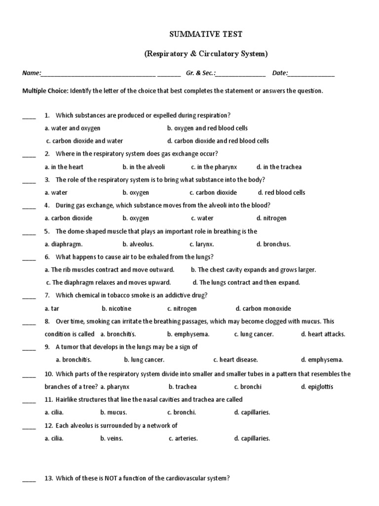 Summative Test (Respiratory & Circulatory System) | PDF | Respiratory ...