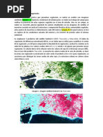 Programa de Ahuyentamiento, Rescate y Reubicación de Fauna Silvestre ...