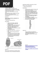 Animal Classification Chart - Invertebrates | PDF | Invertebrate | Zoology