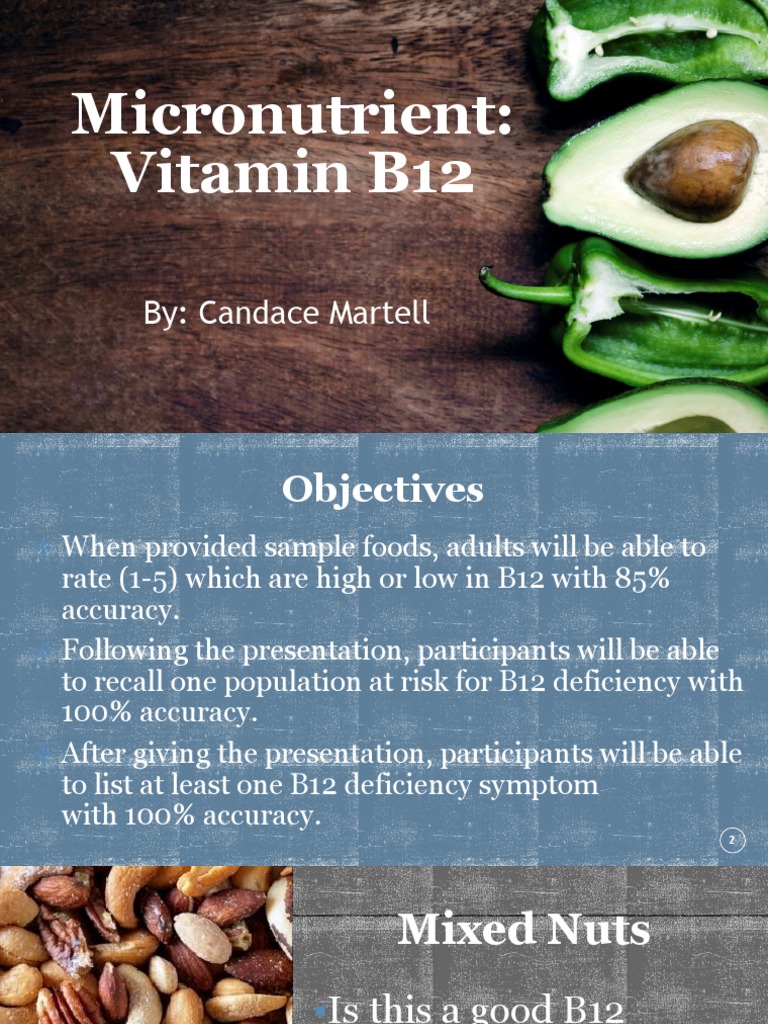 Lesson Plan 1 Powerpoint 1 4 | PDF | Vitamin B12 | Vegetarianism