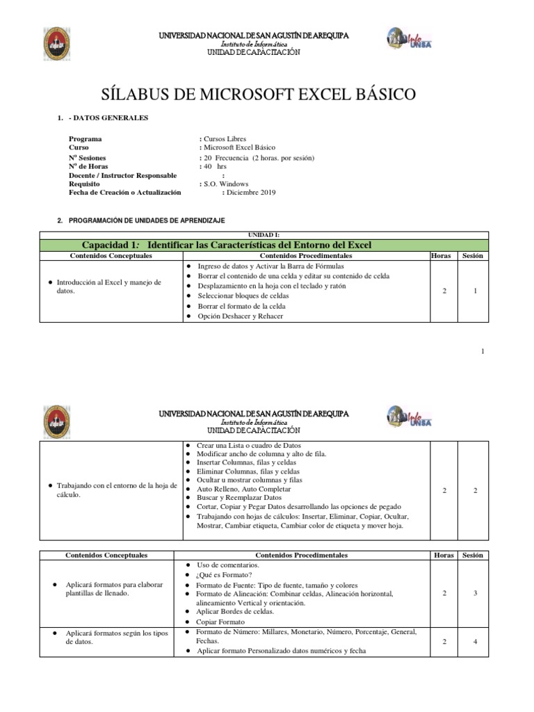 Curso Básico de Excel: 20 Sesiones | PDF | Microsoft Excel | Software