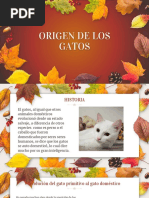 Texto Expositivo El Gato | PDF
