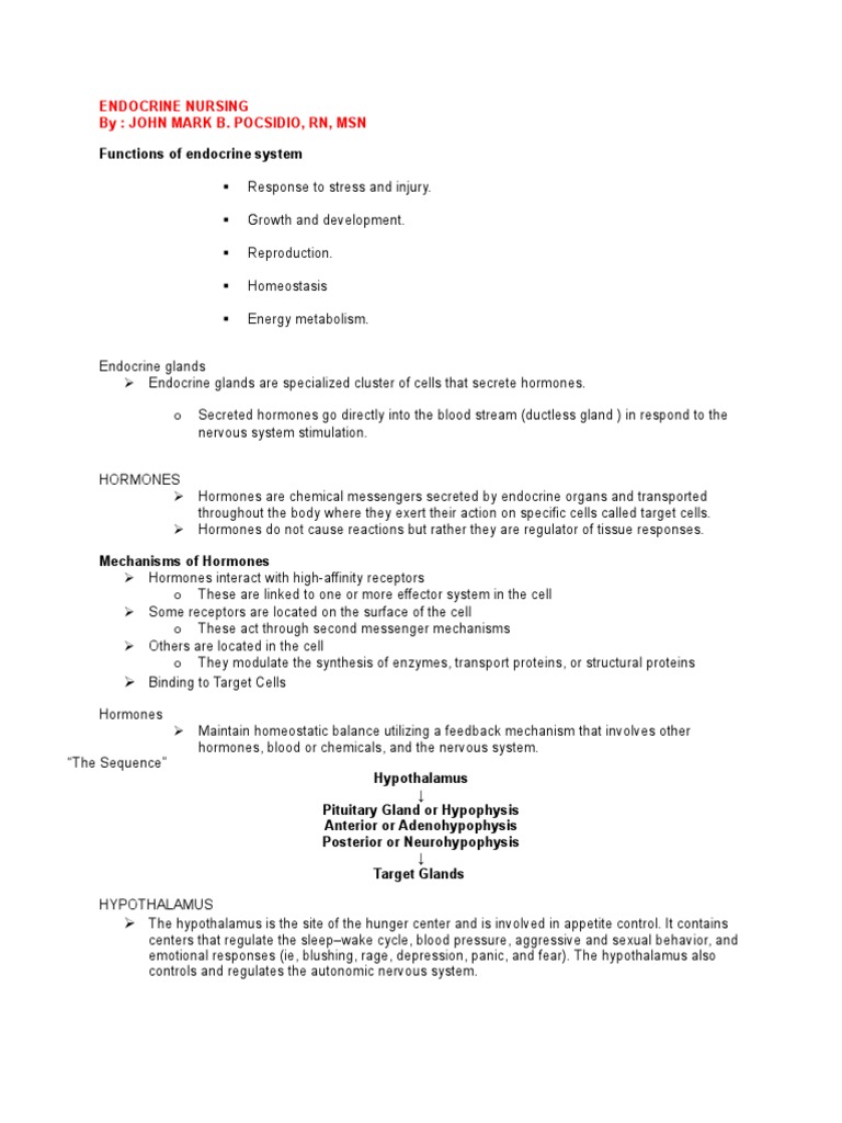 Endocrine Nursing Final Hd Hypothalamus Adrenal Gland