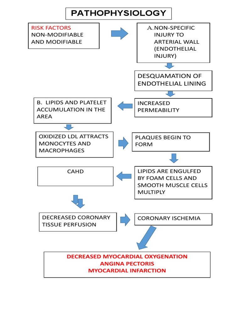 Pathophys of CAD | PDF