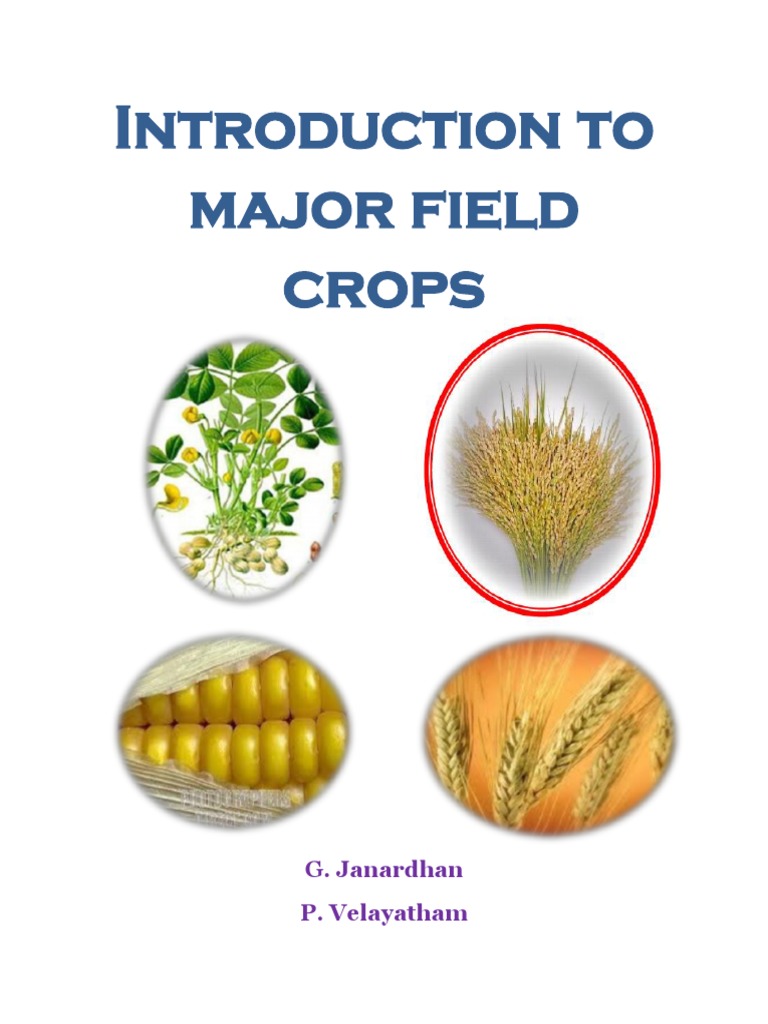 Introduction To Major Field Crops | PDF | Manure | Agriculture